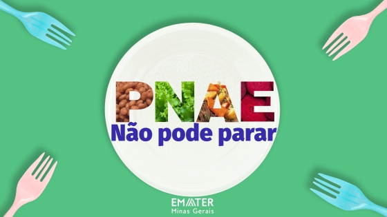 O Pnae não pode parar | MG.GOV.BR - Agricultura